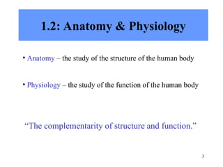 1 Introduction to Human Anatomy & Physiology.ppt