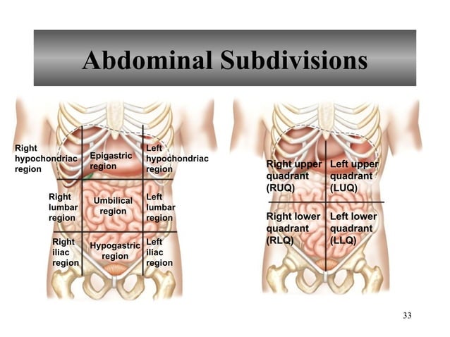 1 Introduction to Human Anatomy & Physiology.ppt