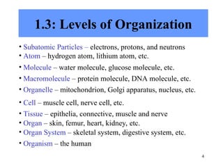 1 Introduction to Human Anatomy & Physiology.ppt