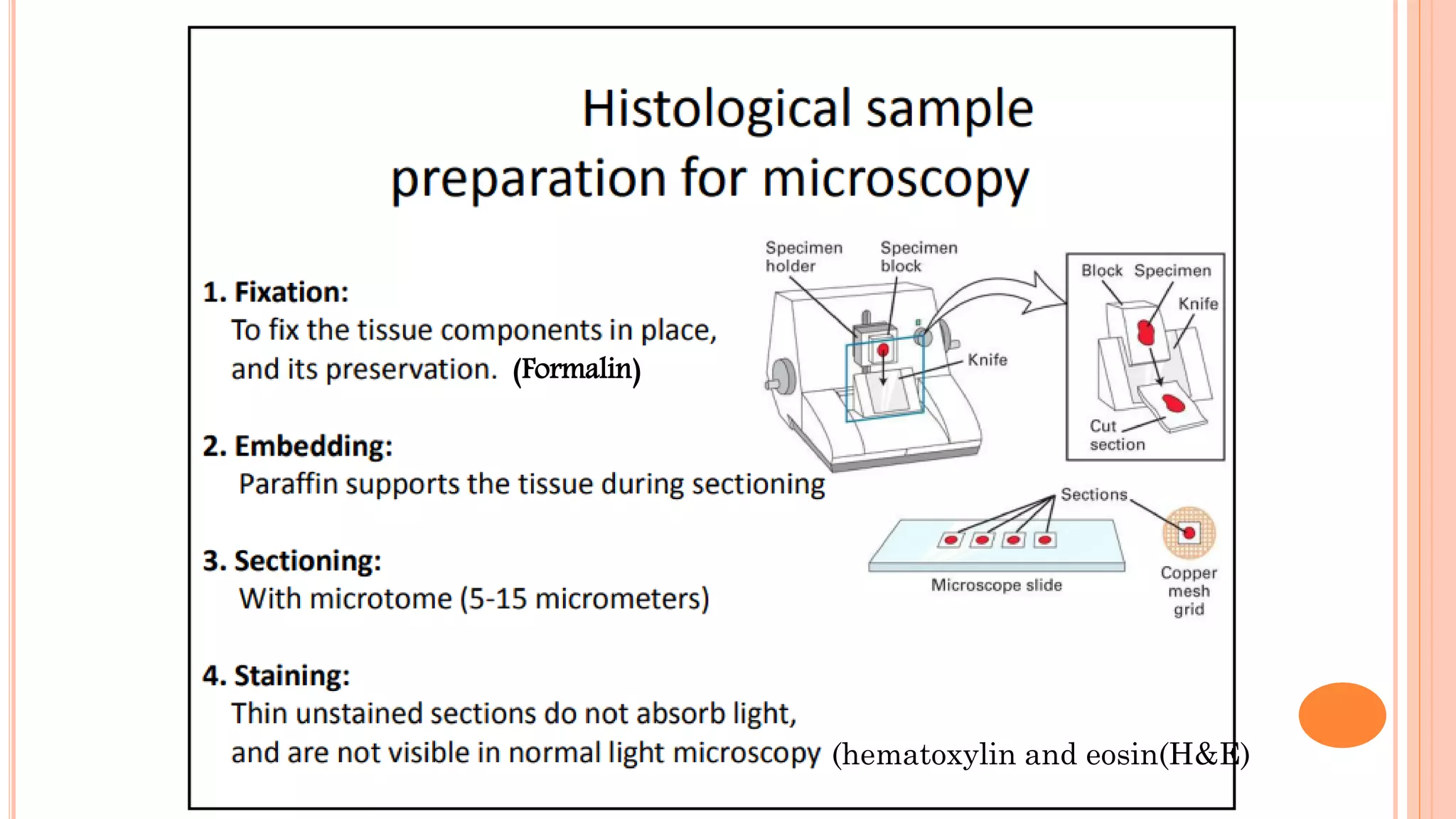 1 Introduction to human Histology.pdf