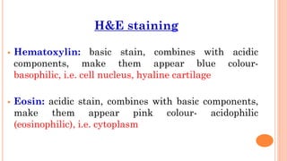 1 Introduction to human Histology.pdf