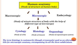 1 Introduction to human Histology.pdf