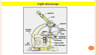 1 Introduction to human Histology.pdf