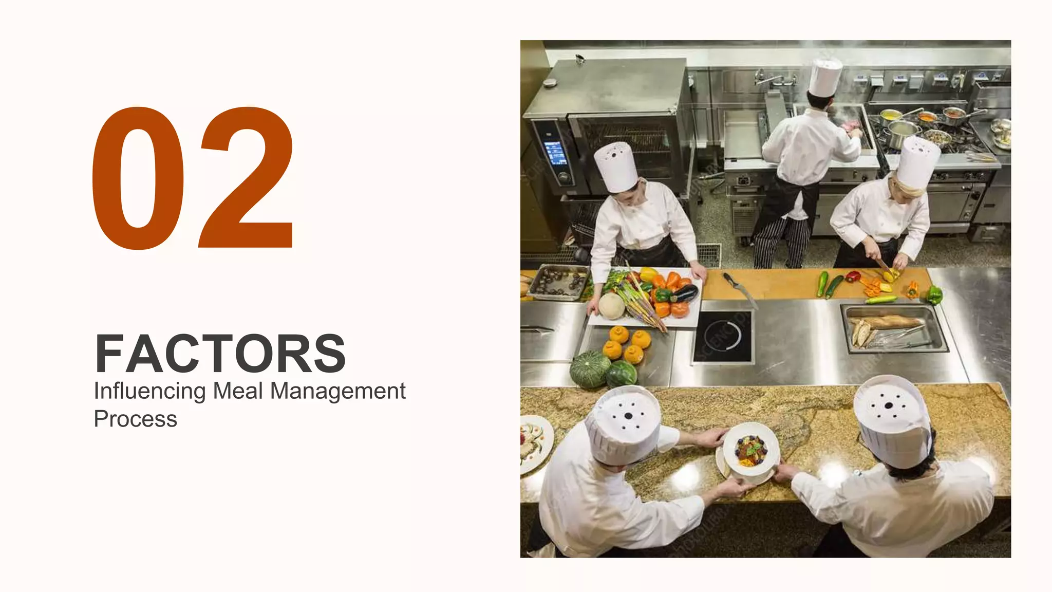 1 Introduction to Meal Manangement.pptx