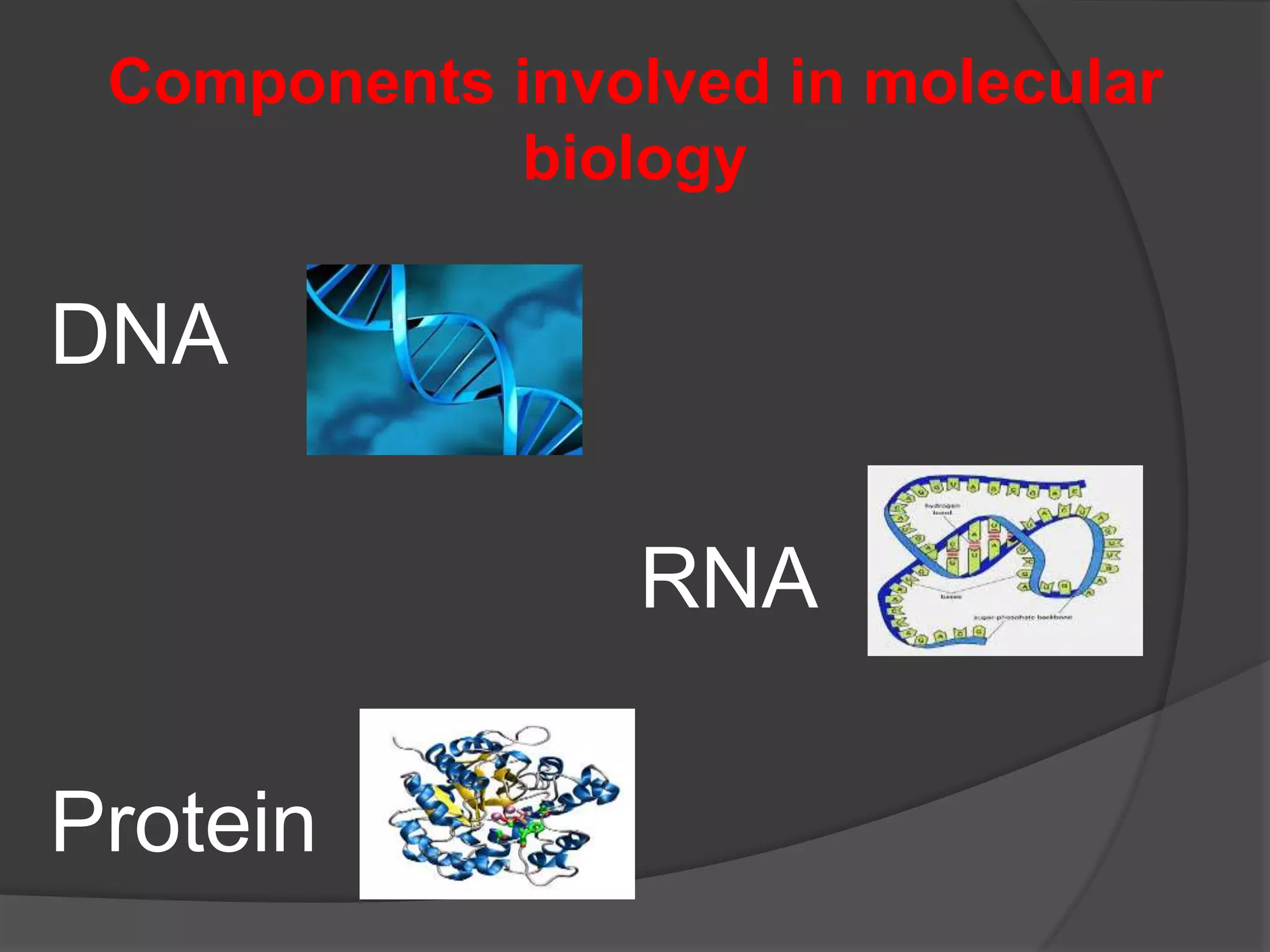 1 introduction to molecular biology | PPTX