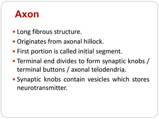 1 Introduction to Nerve and Muscle.ppt