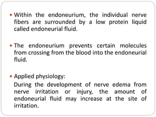 1 Introduction to Nerve and Muscle.ppt