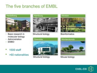 1 introduction to_the_ebi_(katrina_pavelin) | PDF