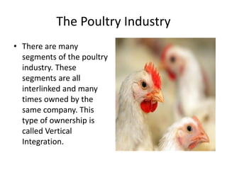 1 introductiontothe poultryindustry | PPT