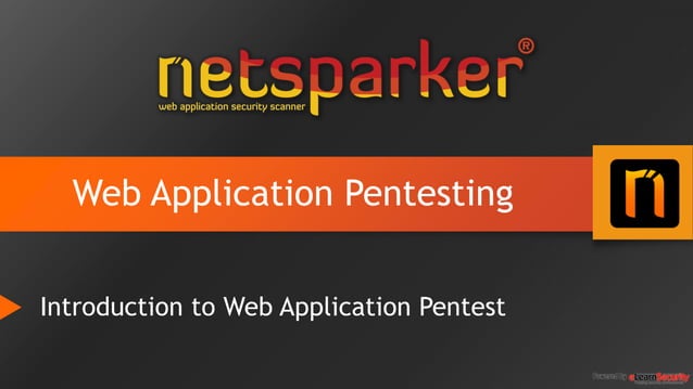 Introduction to Web Application Penetration Testing | PDF