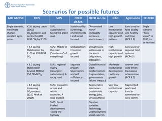 Long-term scenario building for food and agriculture: A global overall ...