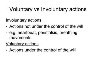 Chapter 13 The Nervous System Lesson 1 - Introduction to the Nervous