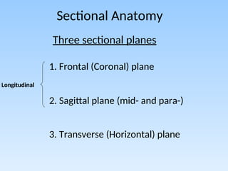 a wonderful presentation about intro to anatomy | PPT
