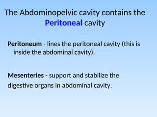 a wonderful presentation about intro to anatomy | PPT