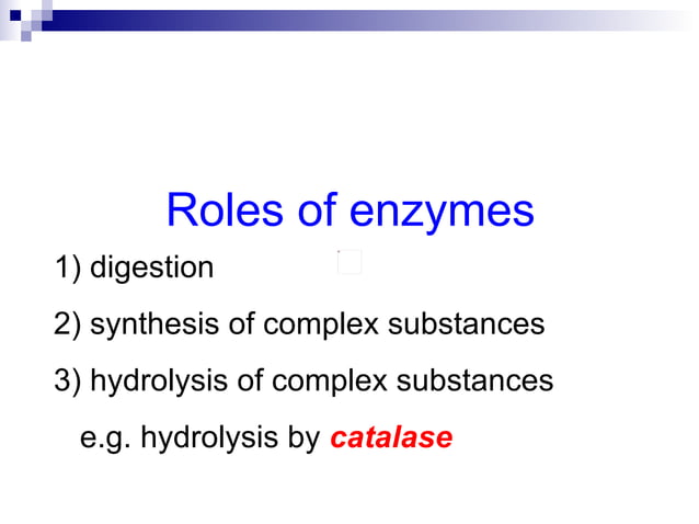 Chapter 5 Enzymes Lesson 1 - Introduction to Enzymes | PPT