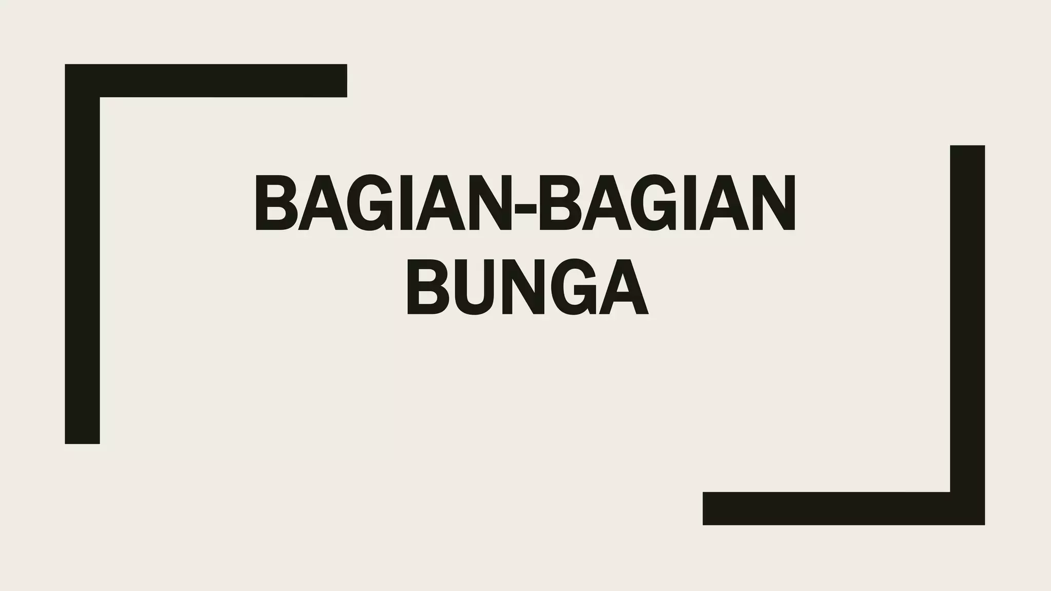 1 ipa bagian2 bunga | PPTX