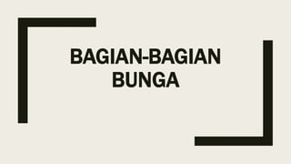 1 ipa bagian2 bunga | PPTX