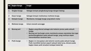 1 ipa bagian2 bunga | PPTX