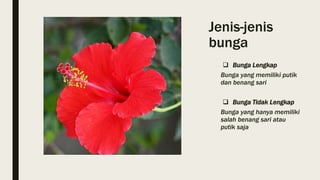 1 ipa bagian2 bunga | PPTX