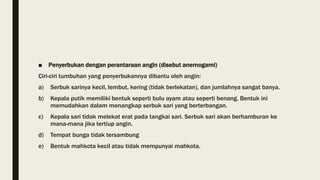 1 ipa bagian2 bunga | PPTX