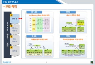 iris solution_overview_for_bigdata | PPT