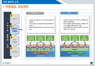 iris solution_overview_for_bigdata | PPT