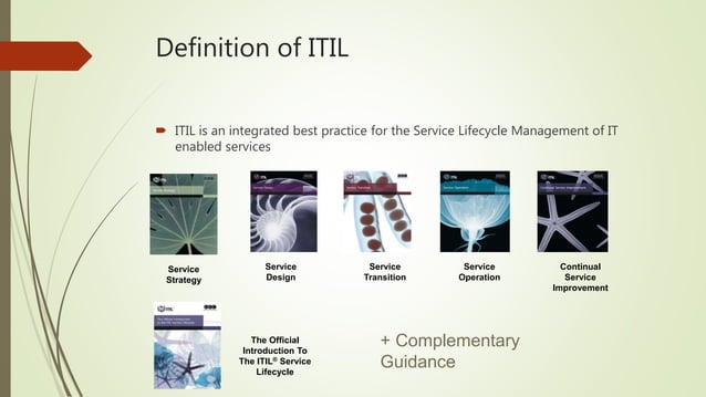 ITIL Introduction | PPTX | IT and Internet Support | Internet