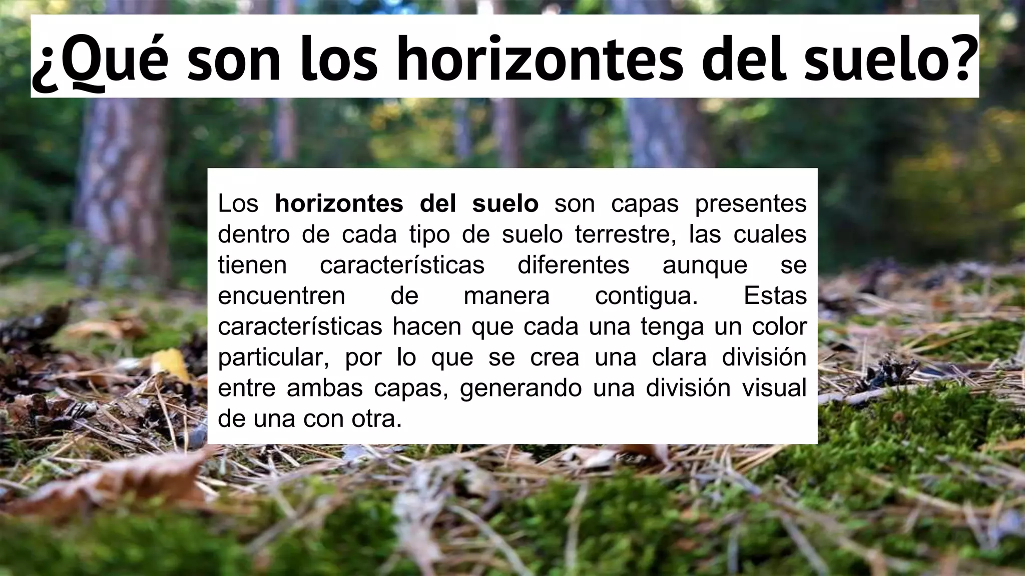Nomenclatura para los horizontes del suelo | PPTX