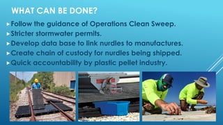 Hurdles with Nurdles: A Gulf-wide Citizen Science Project - Jace ...