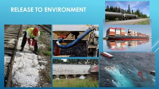 Hurdles with Nurdles: A Gulf-wide Citizen Science Project - Jace ...