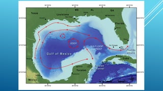 Hurdles with Nurdles: A Gulf-wide Citizen Science Project - Jace ...