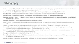 DOES SFO 2016 - Steve Mayner - Transformational Leadership | PPTX