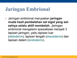 1 JARINGAN EMBRIONAL.pptx