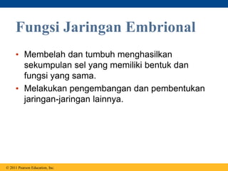 1 JARINGAN EMBRIONAL.pptx