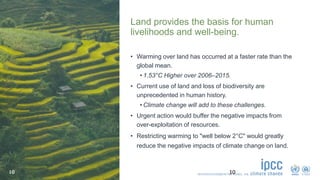 Climate Change and Land | PDF