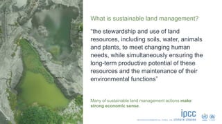 Climate Change and Land | PDF
