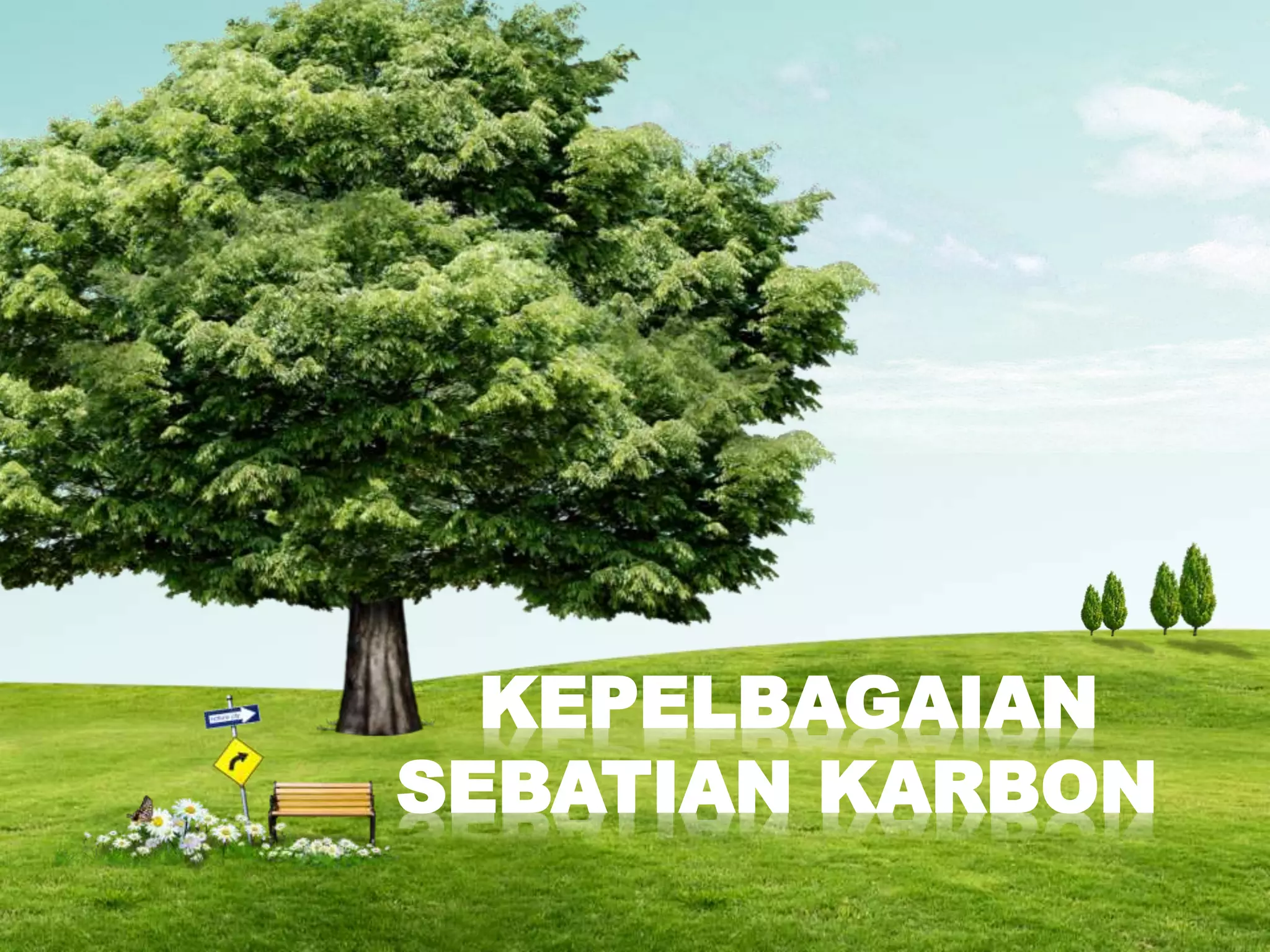 1 Kepelbagaian Sebatian Karbon | PPTX