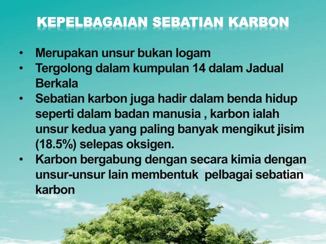 1 Kepelbagaian Sebatian Karbon | PPTX
