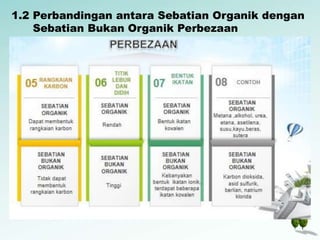 1 Kepelbagaian Sebatian Karbon | PPTX