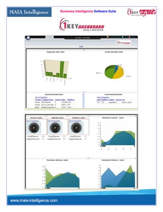1KEY Agile BI Suite | PDF