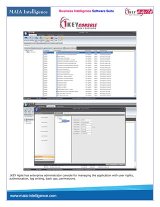 1KEY Agile BI Suite | PDF