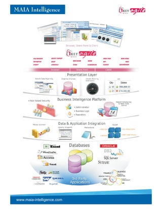 1KEY AGILE Data Sheet | PDF