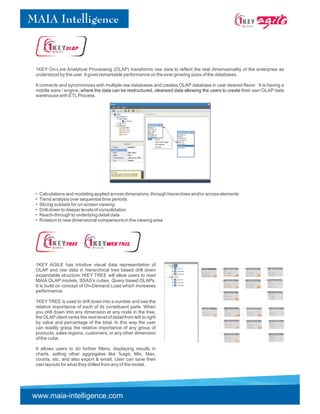 1KEY AGILE Data Sheet | PDF