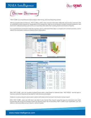 1KEY AGILE Data Sheet | PDF