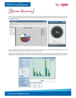 1KEY AGILE Data Sheet | PDF
