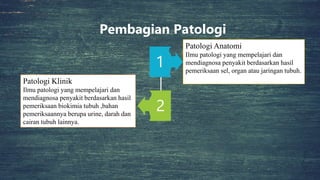 1 Konsep Patologi dan Patofisologi.pptx Ilmu Dasar Keperawatan | PPTX