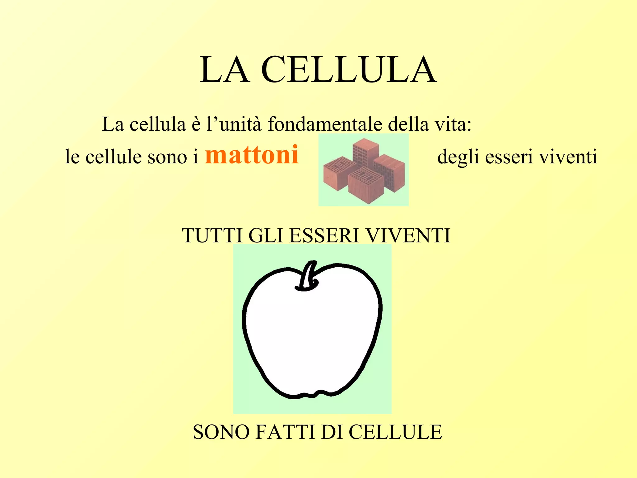 1 la cellula | PPT