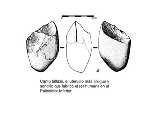 La evolución del hombre | PPT | Descarga Gratuita