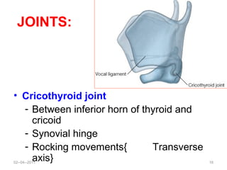 Cricothyroid Joint