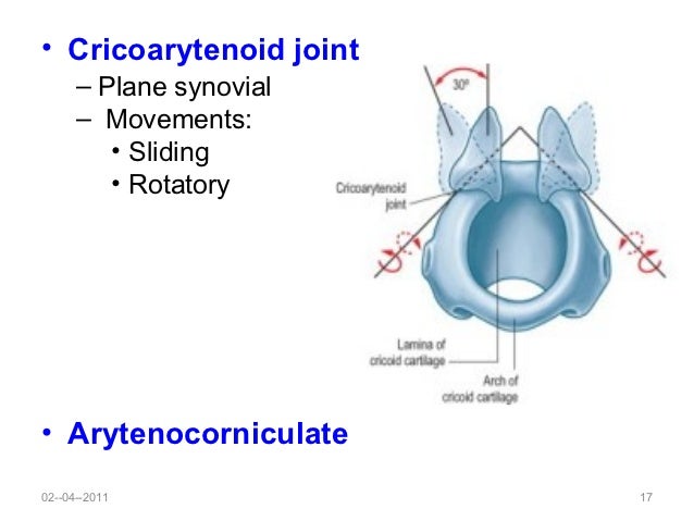 Cricoarytenoid Joint Arthritis